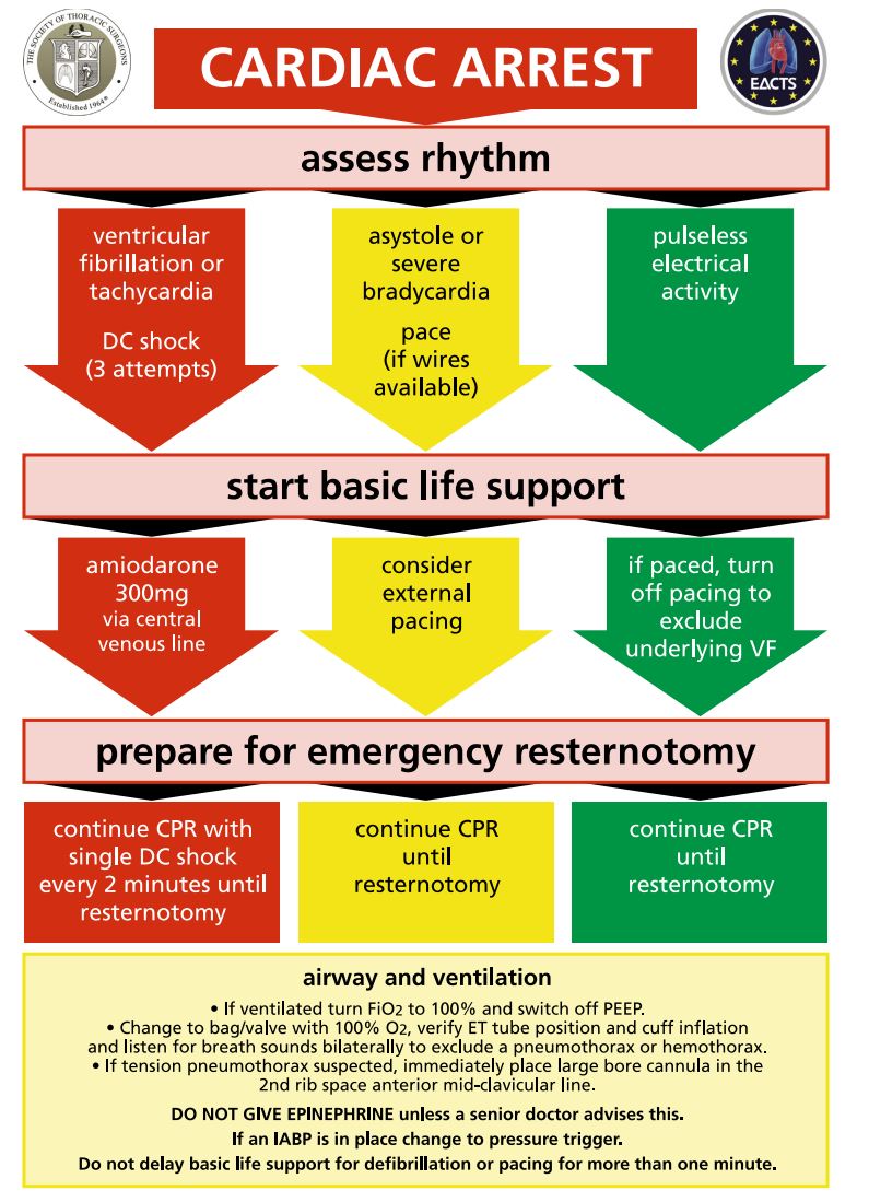 Cardiac Arrest Following Cardiac Surgery Deranged Physiology